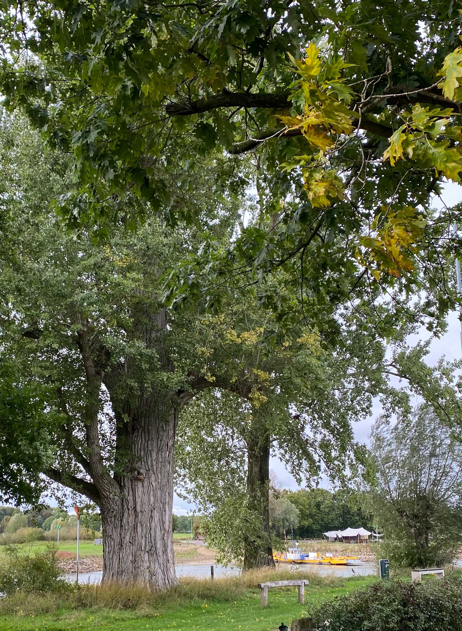 De Peppel bij het veer | Bezienswaardigheden | Zien & Doen